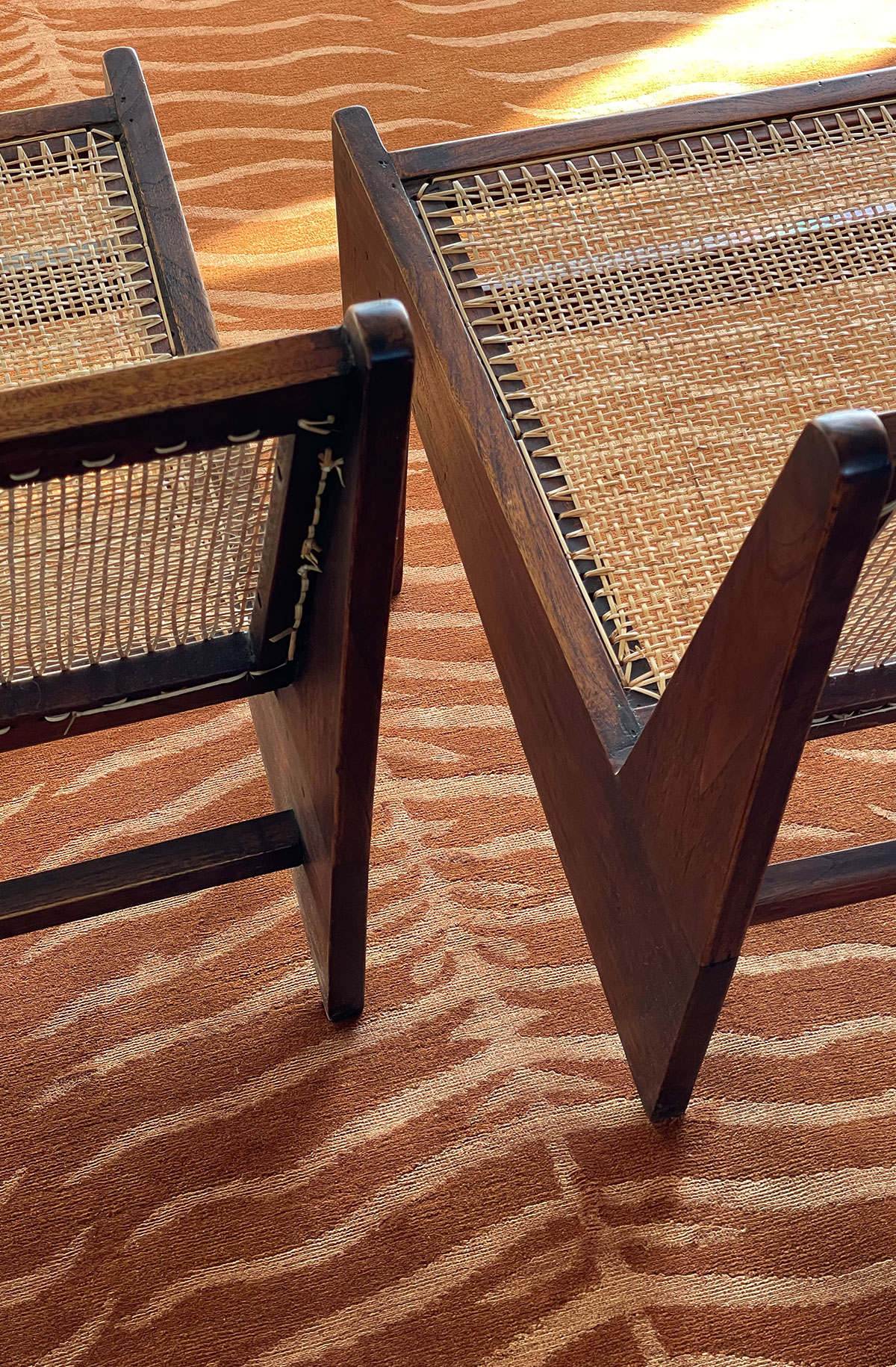 Tiger Spine Orange - Designer Rug Collection - Halcyon Lake